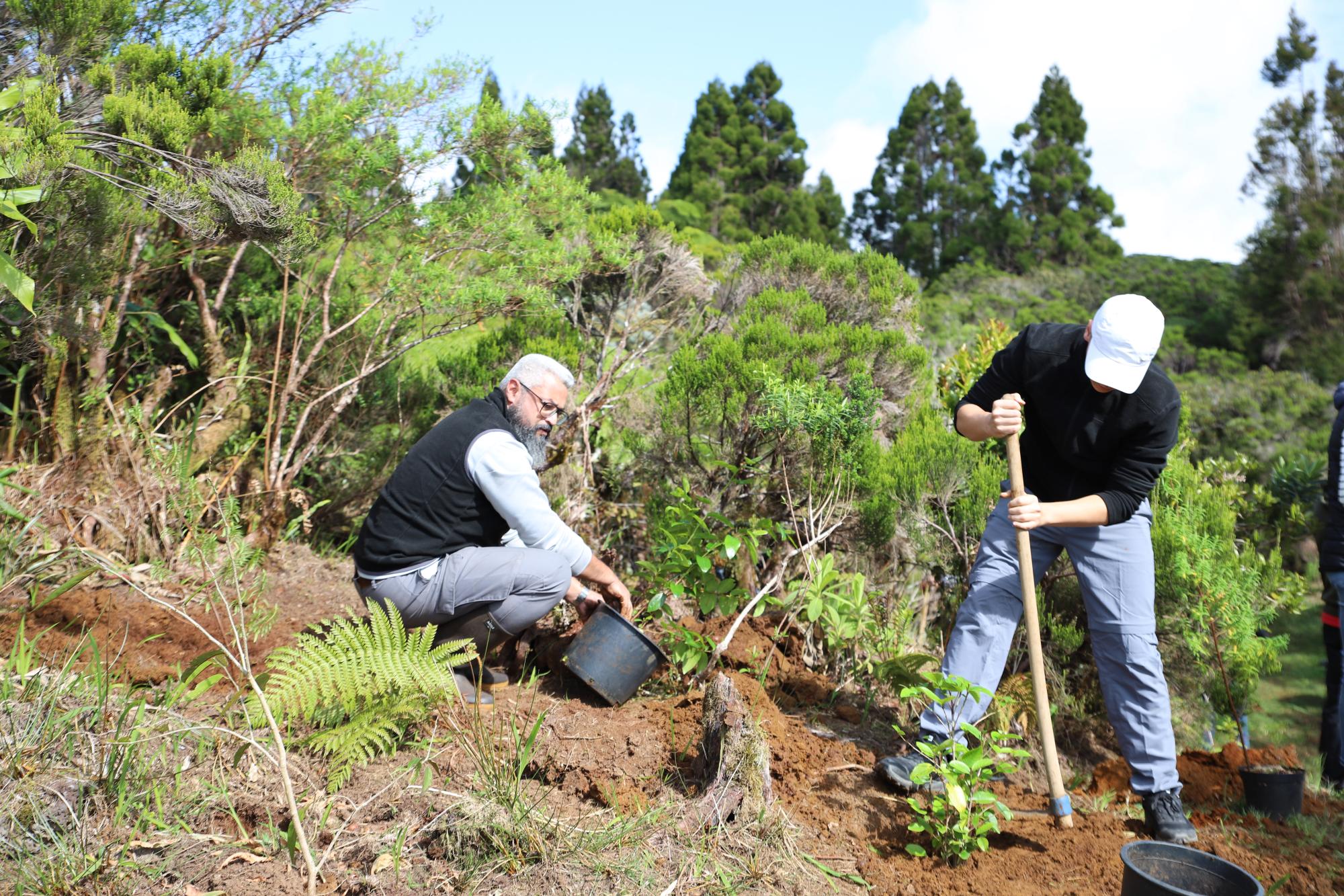 Partenariat entre le Parc national et la MFR de la Plaine-des-Palmistes ...